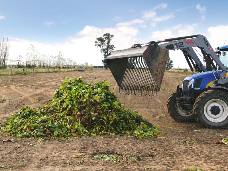 Rata beet bucket review