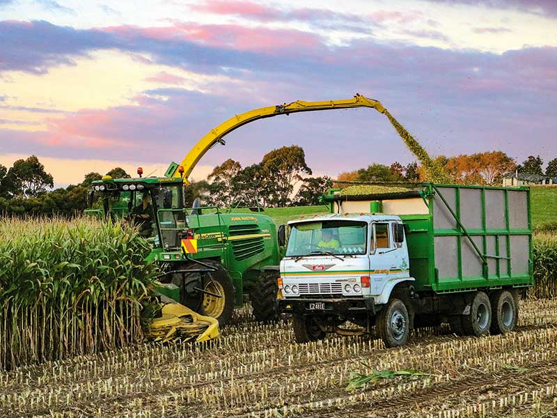 Photo gallery: a day in the life of New Zealand's Rural Contractors