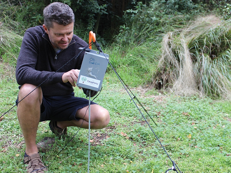 Researcher uses AI to save NZ native birds