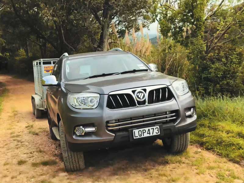 Video: Foton Sauvana