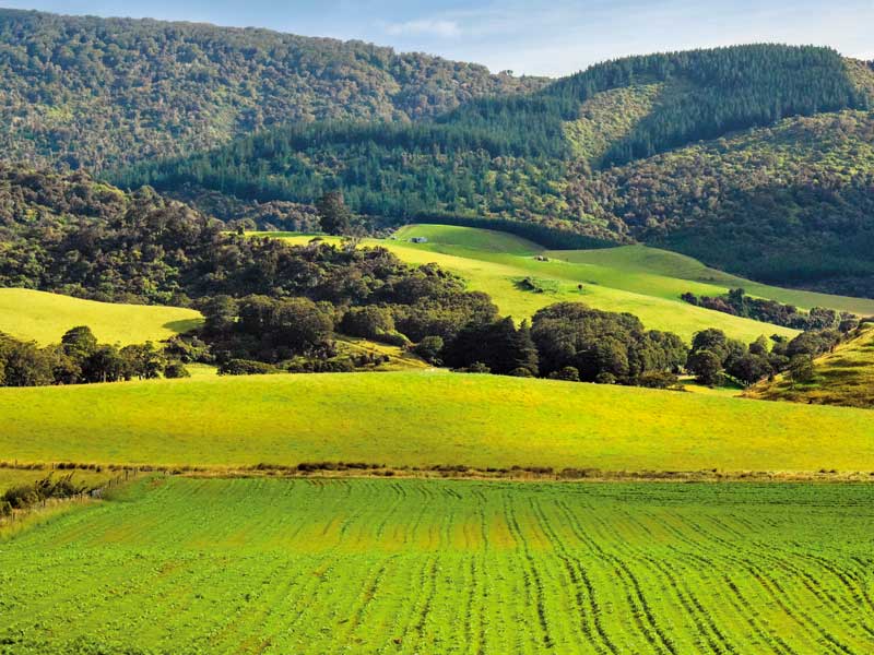 Weather implications on NZ farming