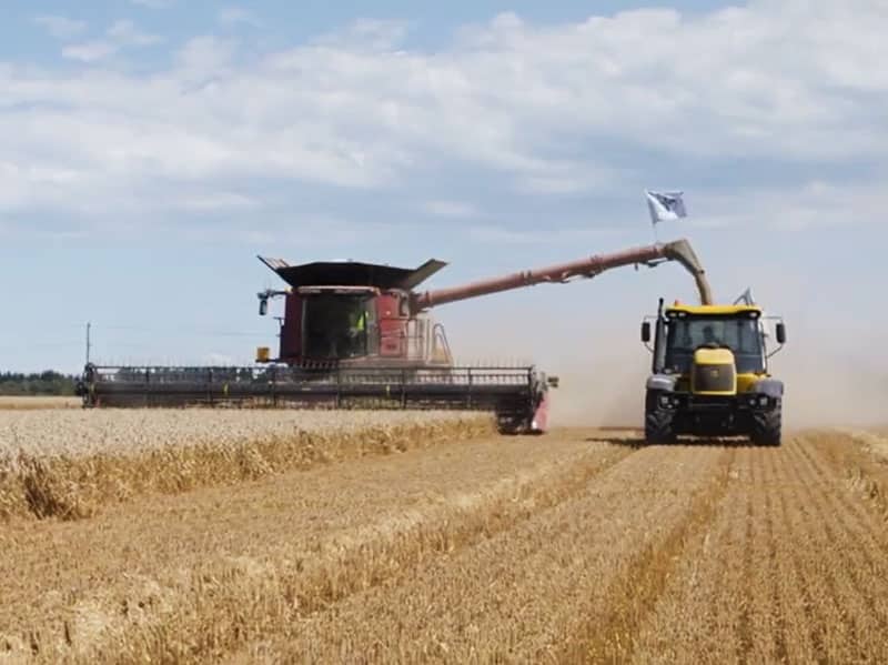 Guinness World Records邃 Title Highest Wheat Yield