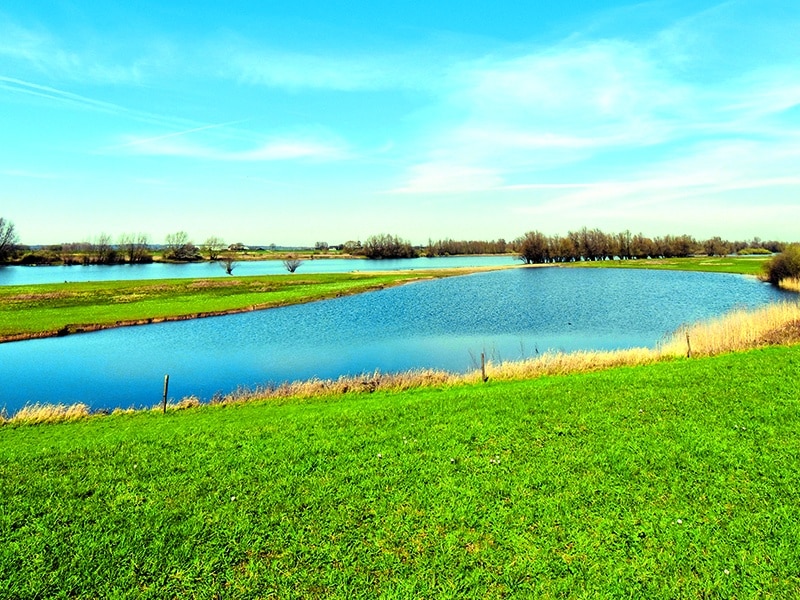 Flood plains and freshwater farm advice