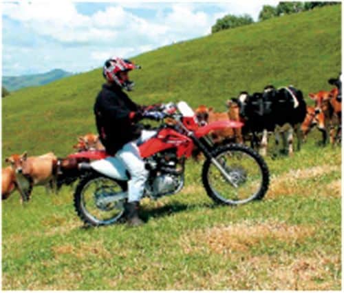 A farm bike, but not as we know it. - Farm Trader