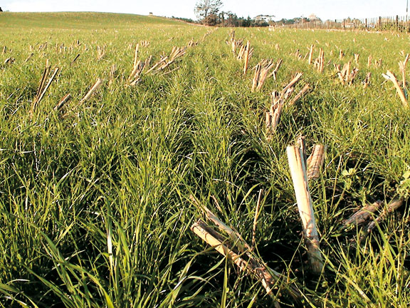 A complete service with Coulton Bros - Farm Trader