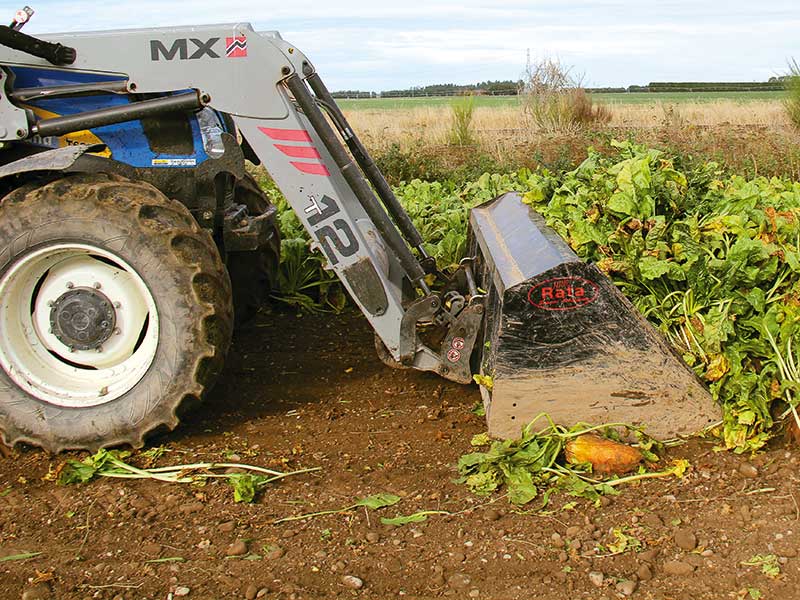 Rata beet bucket review