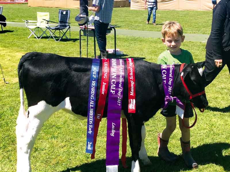 Calf Club Day 2017 in NZ