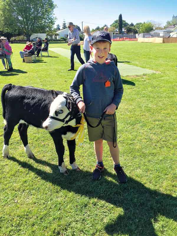 Calf Club Day 2017 in NZ