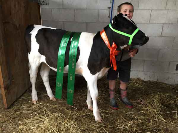 Calf Club Day 2017 in NZ