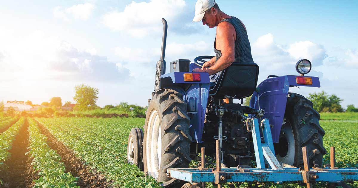 Strong growth in farming salaries: report - Farm Trader